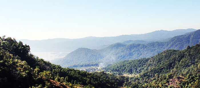 Our Experience | luxury safari resort in corbett